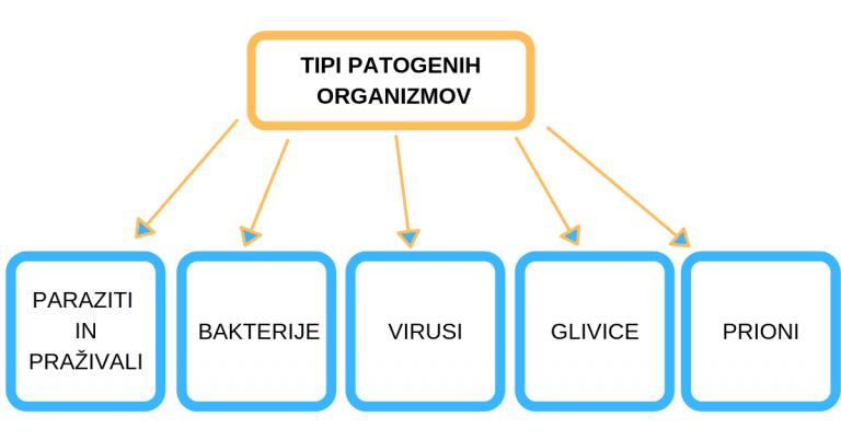 Paraziti - kaj so in kako vplivajo na naše zdravje | IONEX